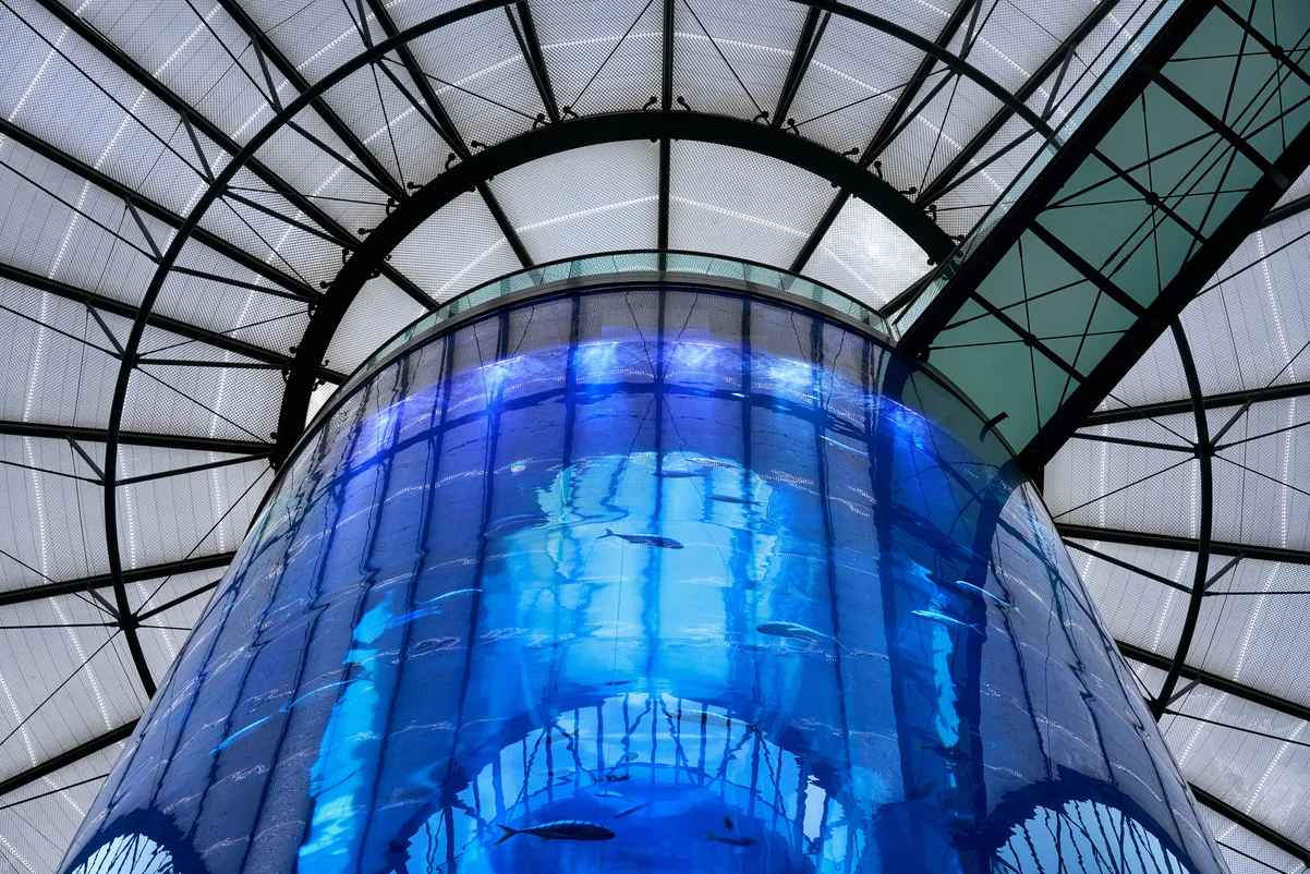 Video: Berlin Aquarium With 1,500 Fish Bursts In Hotel