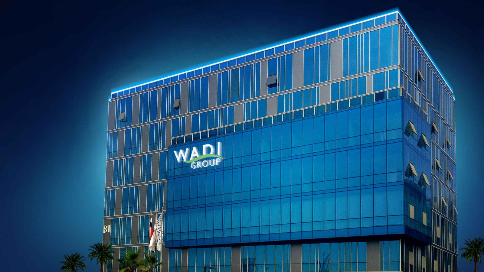 Japan's Mitsui To Invest In Egypt's Wadi Group's Poultry Subsidiaries