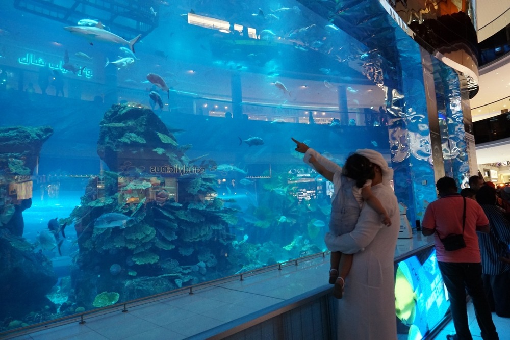 Exploring The Best Summer Activities In The UAE