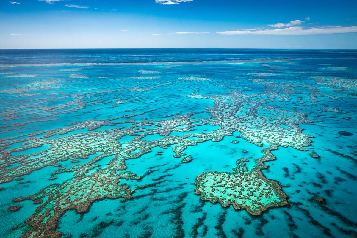 Massive Coral Reef Found Off Australian Coast, Taller Than Empire State ...