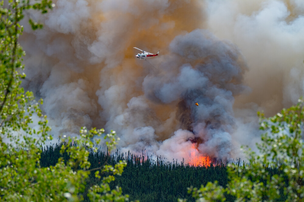 Unprecedented Wildfires Engulf Canadas Regional Capital 20 000