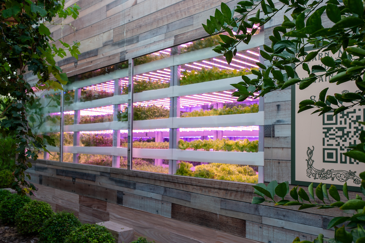 UAE's Crysp Farms Secures $2.3M In Latest Funding Round