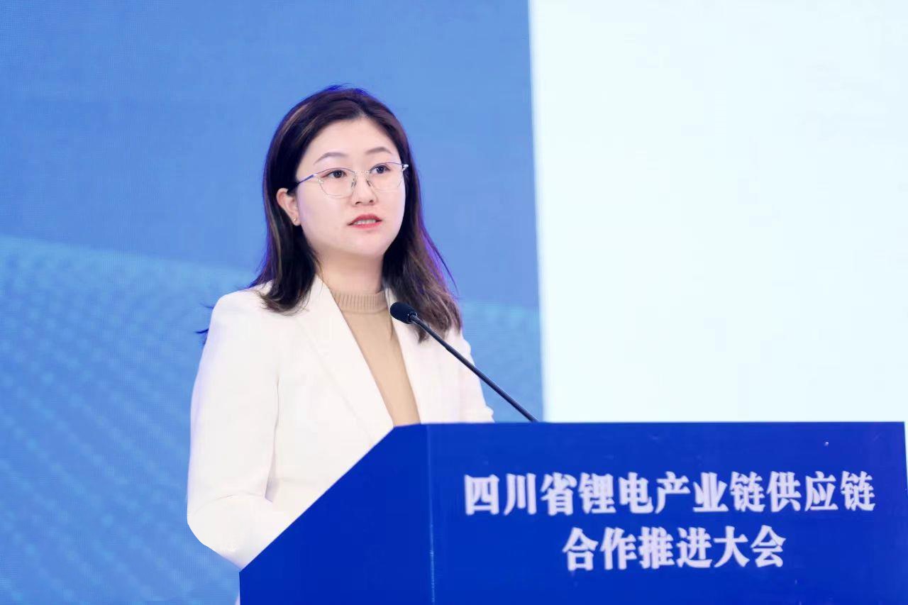 This Chinese Lithium Billionaire Steps Down After Big Losses