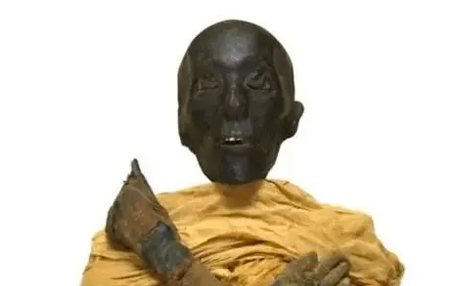 Ancient Egyptian King's First Tomb Discovered In A Century