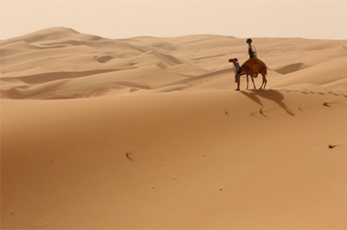 A Camel’s Eye View